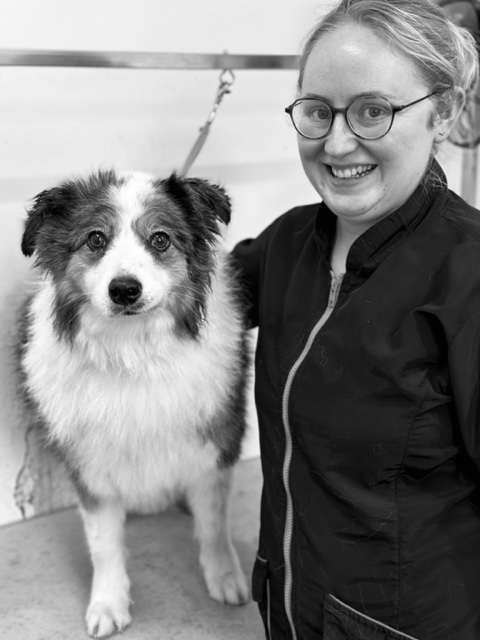 About us – | GROOM-ME